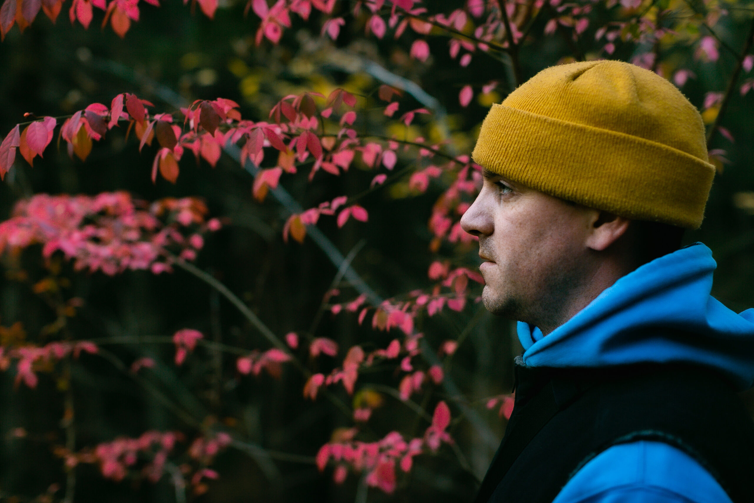 Jackson Whalan shares new single “No Matter What” – ROUNDHOUSE MUSIC